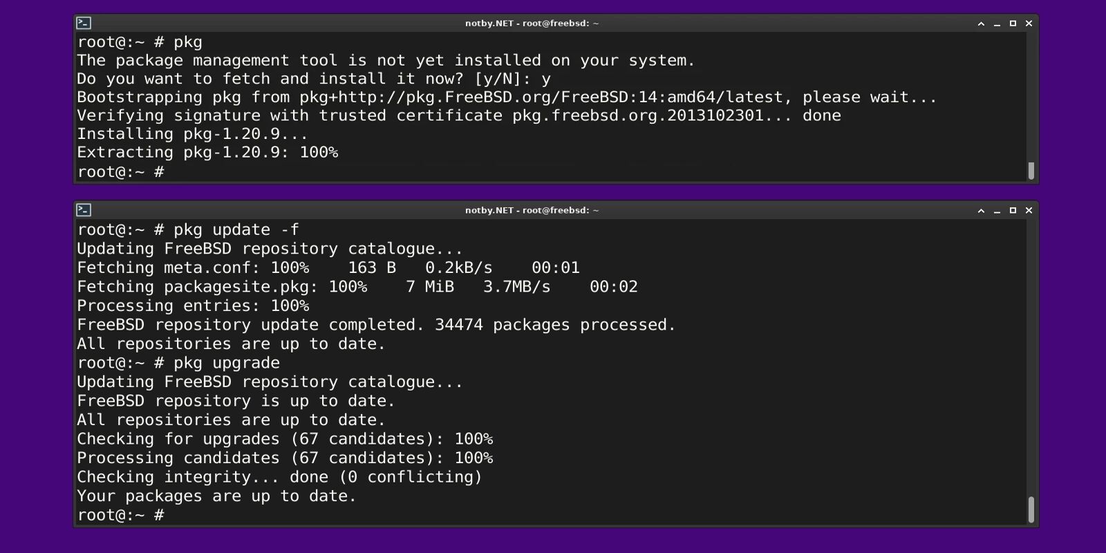 Управление пакетами в FreeBSD 14 - notby.NET