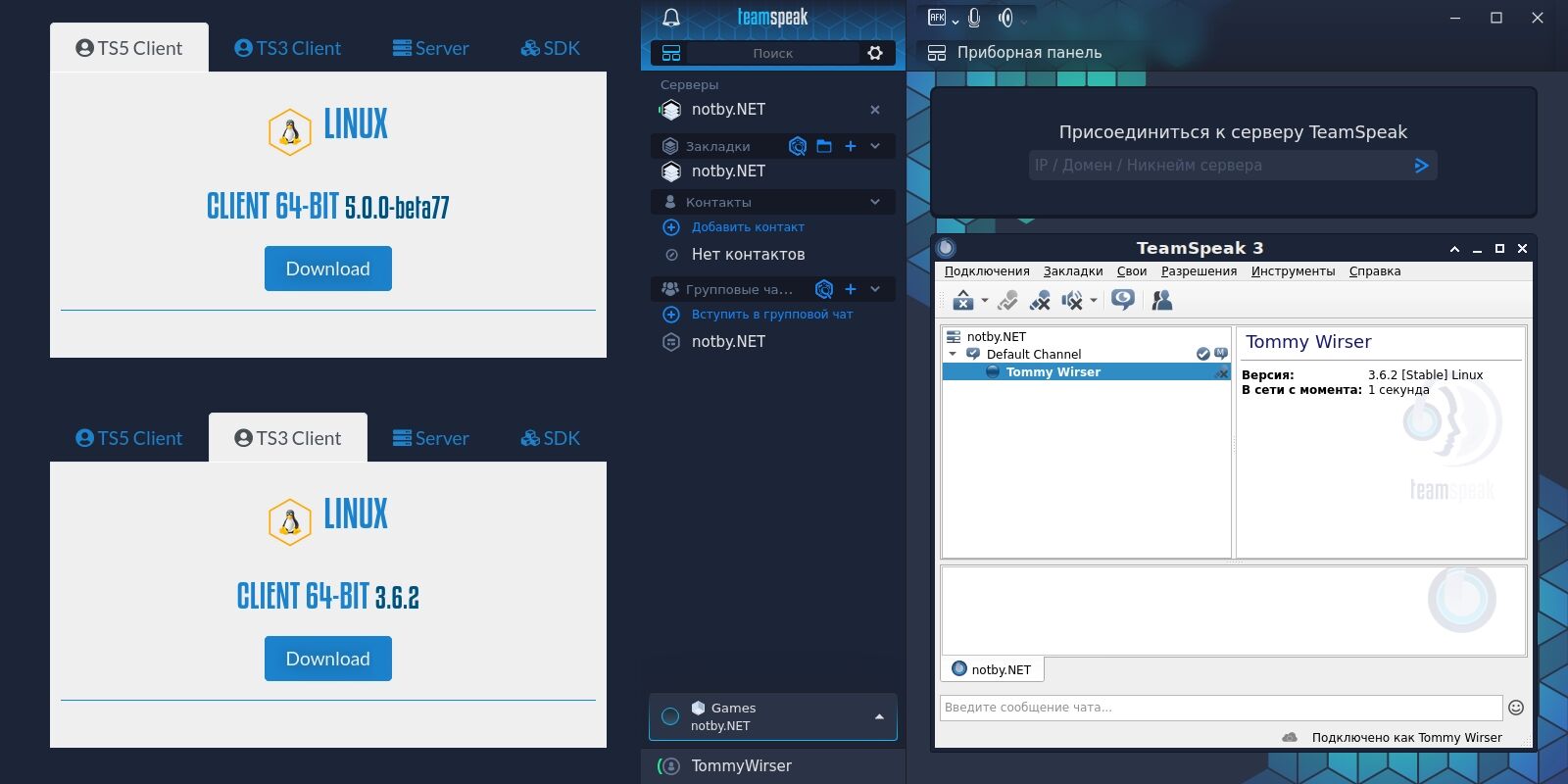 Установка TeamSpeak Client в Linux (Debian / Ubuntu) - notby.NET